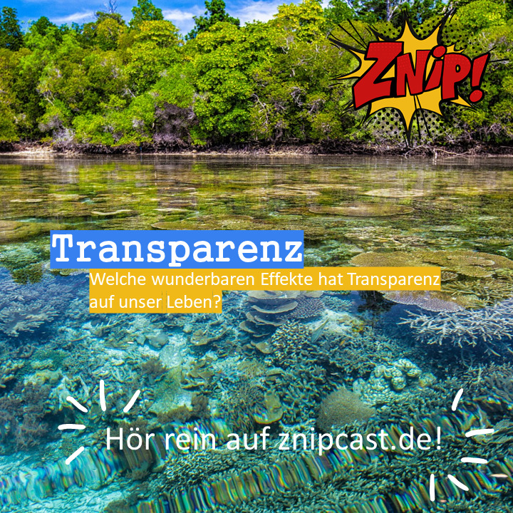 Folge 025 Transparenz - Znipcast - und wie sie wirkt